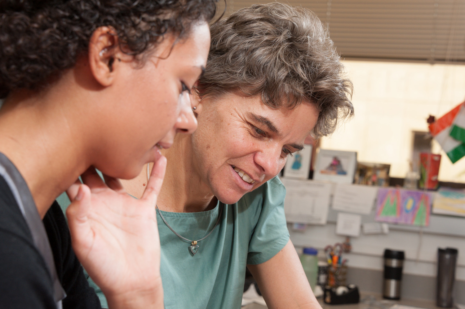 Karolin Luger named 2014 Fellow of the Biophysical Society – Department ...