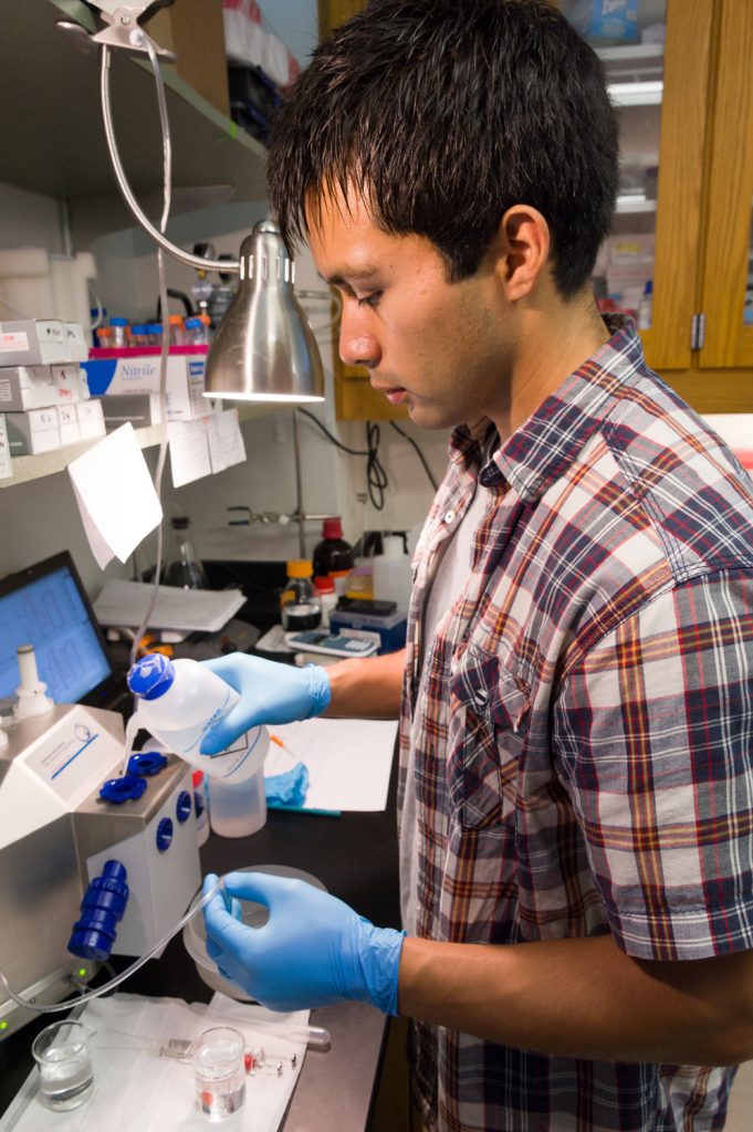 Program Description – Department of Biochemistry and Molecular Biology ...